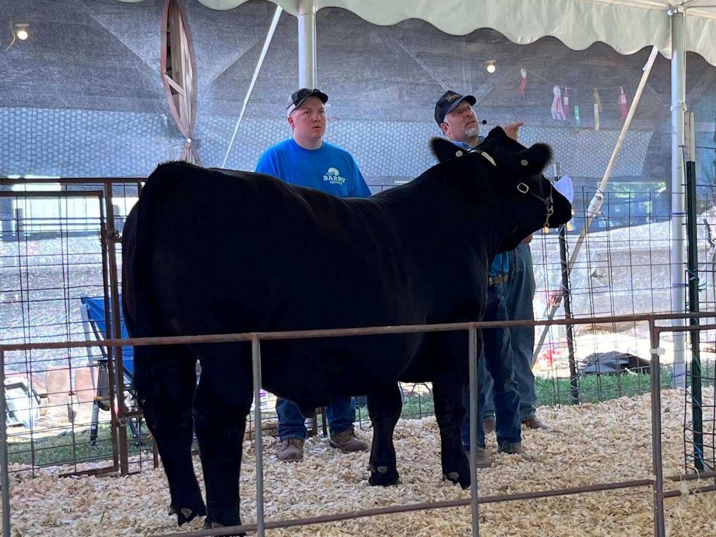 Livestock Sponsors